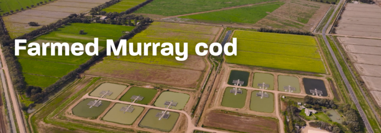 Avoiding Tassie salmon? Try these sustainable alternatives. - GoodFish