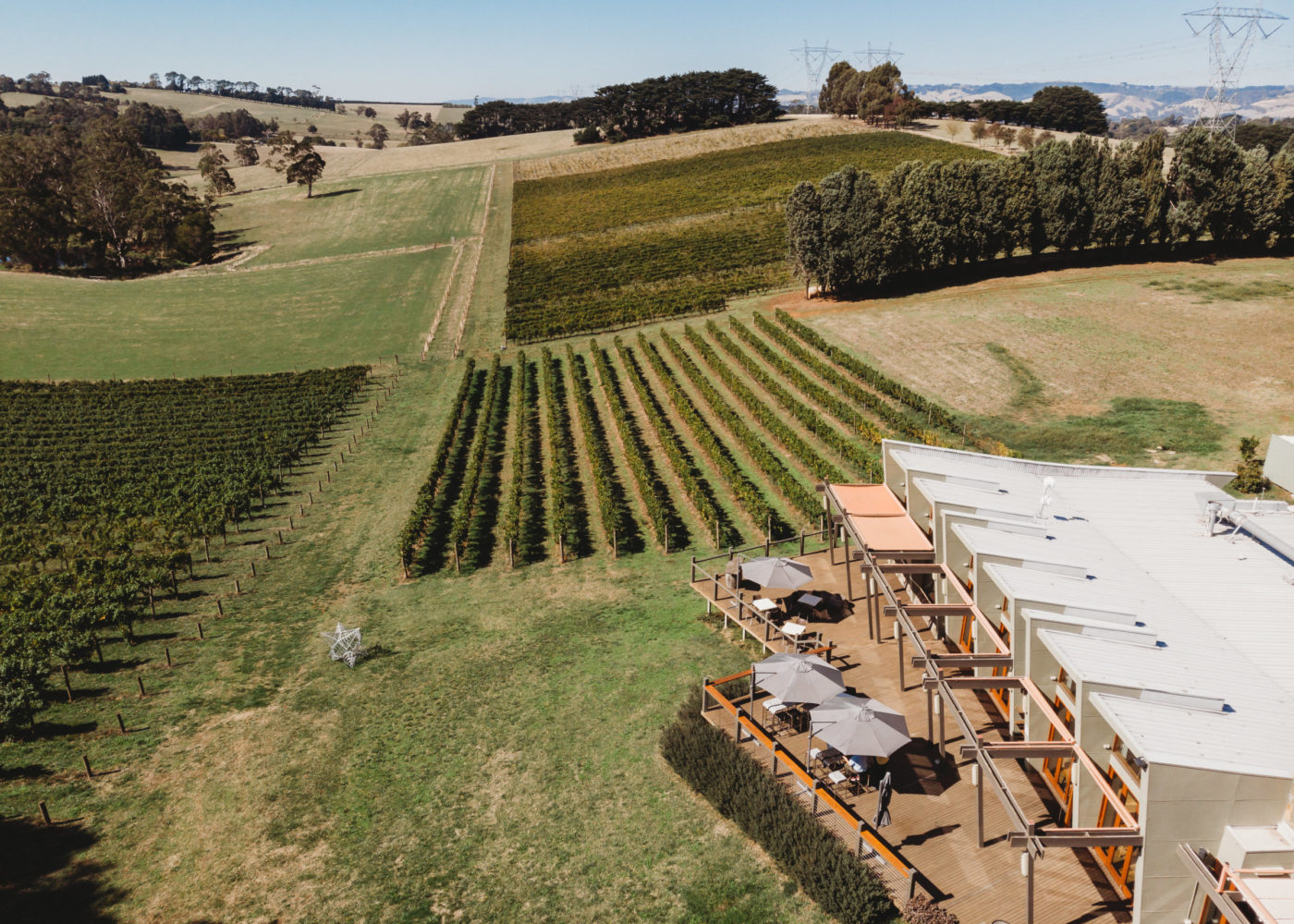 Hogget Kitchen - GoodFish