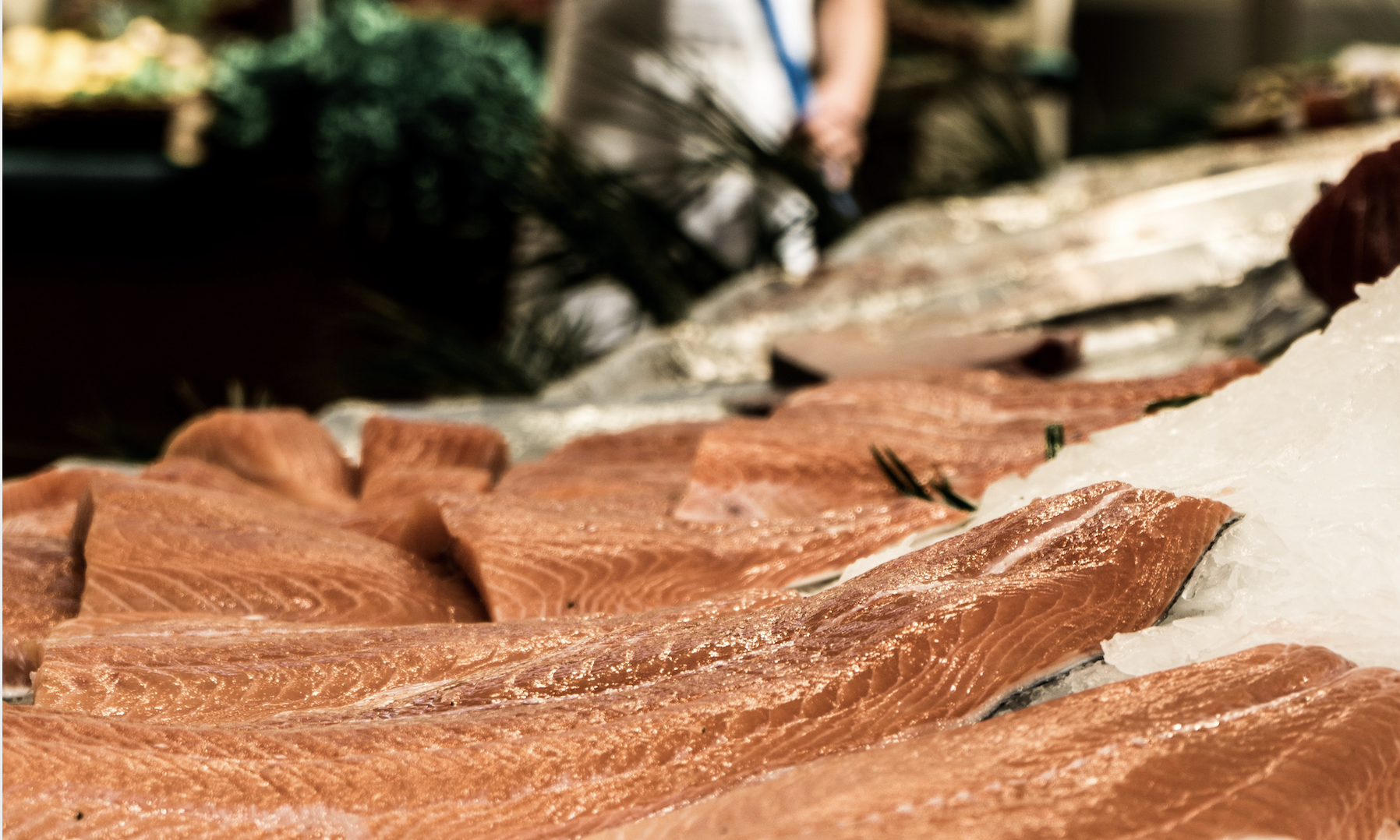 How can you help? - GoodFish