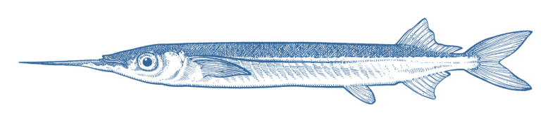 What is GoodFish? - GoodFish